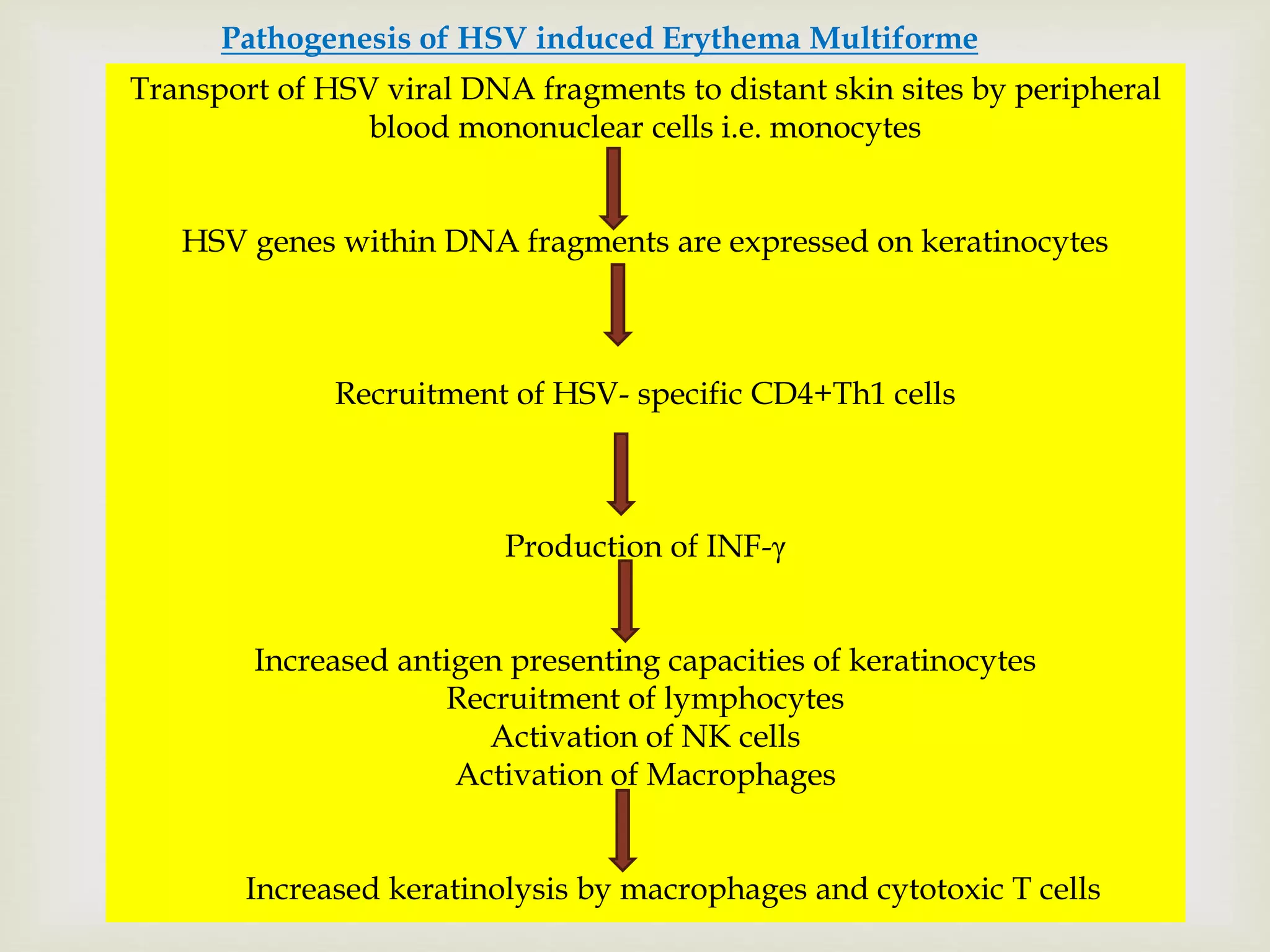 Erythema multiforme, Steven-Johnson syndrome and Toxic Epidermal ...