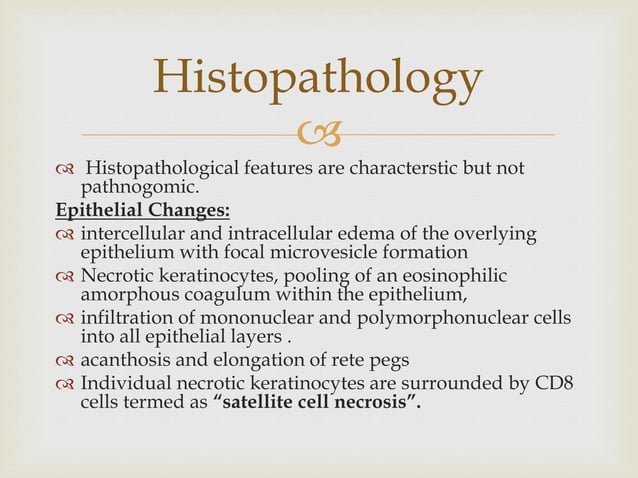 Erythema multiforme, Steven-Johnson syndrome and Toxic Epidermal ...