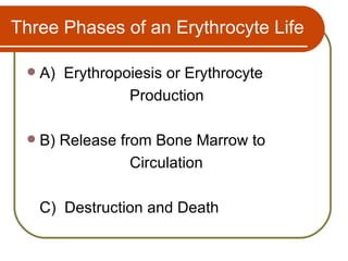 Erythocyte | PPT