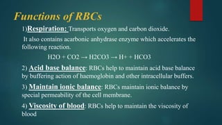 Erythrocytes / RBCs | PPT
