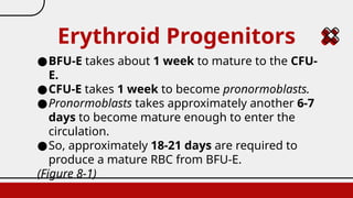 A presentation in ERYTHROCYTE-MATURATION.pptx