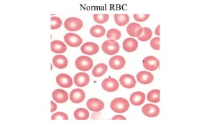 Erythrocyte-Morphology-and-Inclusions 2 (2).pptx