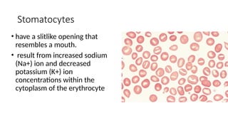Erythrocyte-Morphology-and-Inclusions 2 (2).pptx