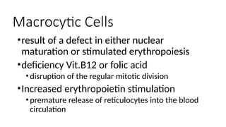 Erythrocyte-Morphology-and-Inclusions 2 (2).pptx
