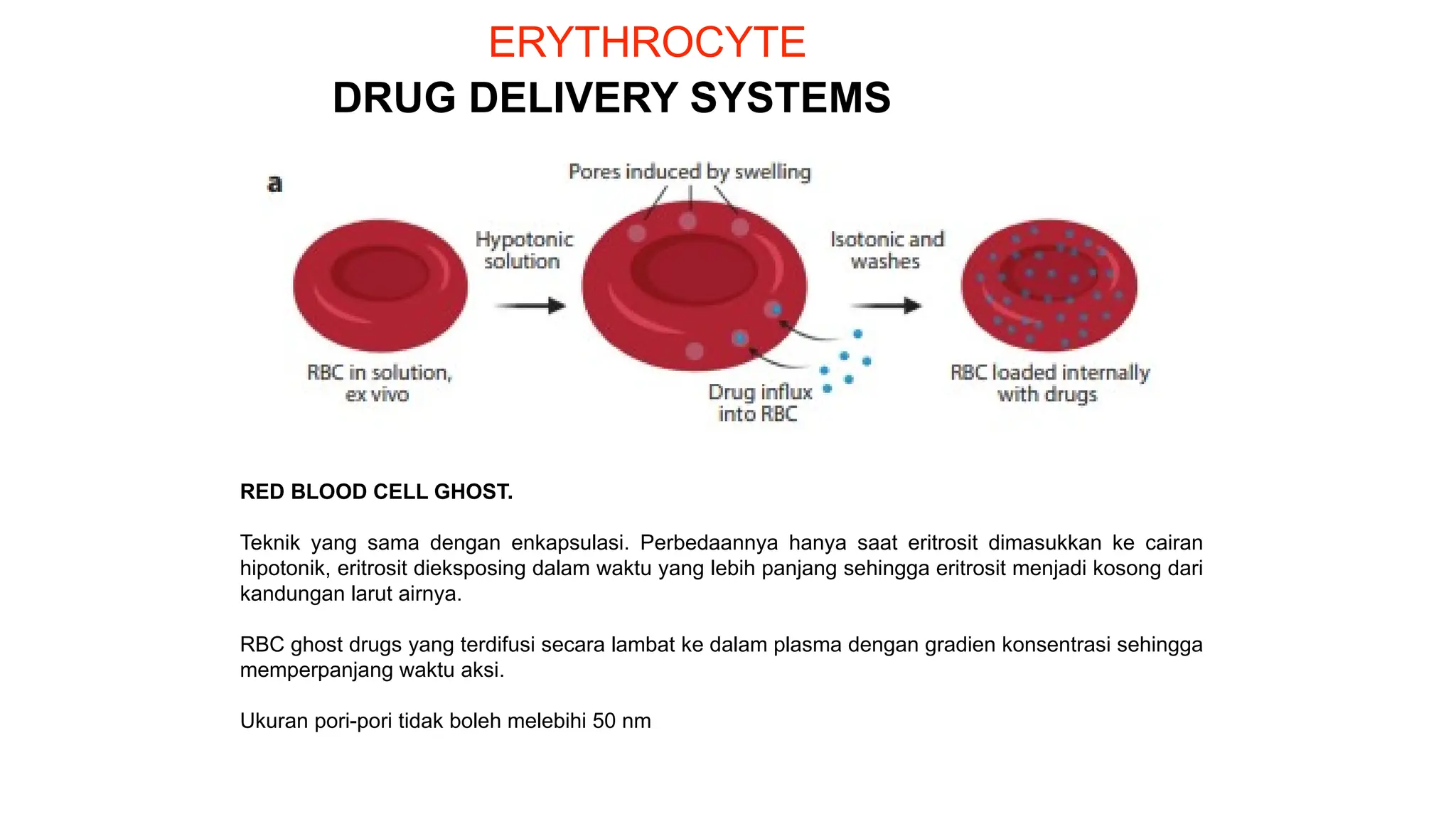 Erythrocyte Delivery Systems fwkwoqjqjrk | PPTX