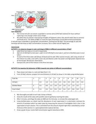 ERYTHROCYTE FRAGILITY TEST PROCEDURE AND DISEASES | PDF