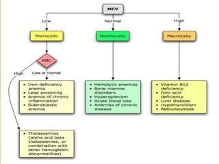 Erythrocyte indices | PPTX