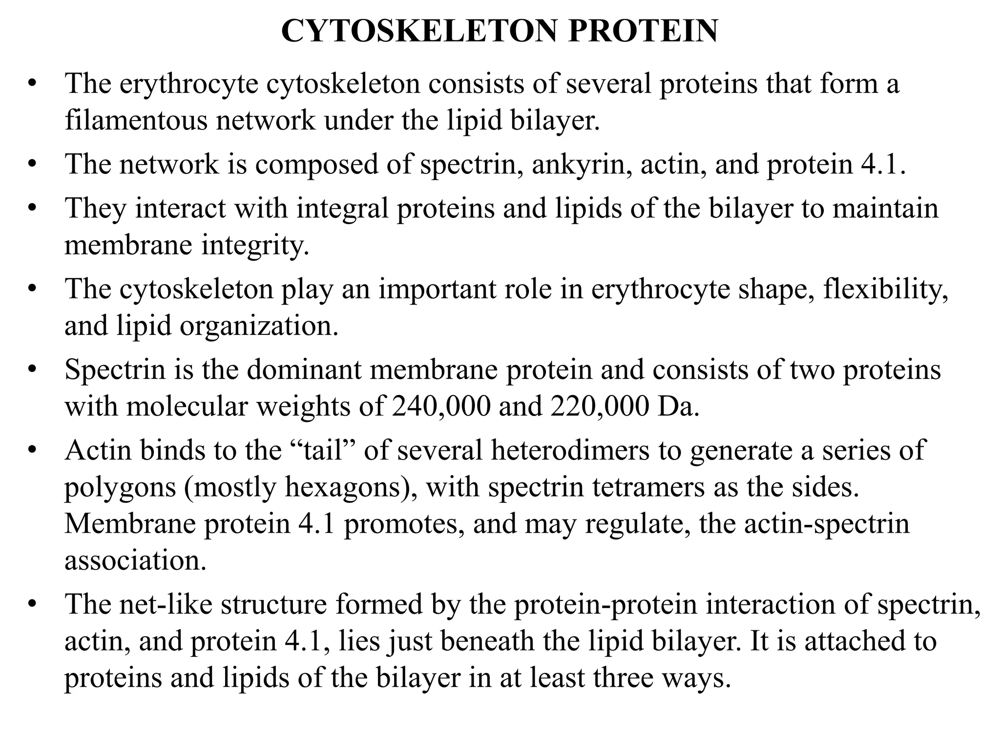 ERYTHROCYTE MEMBRANE CYTOSKELETON.pptx