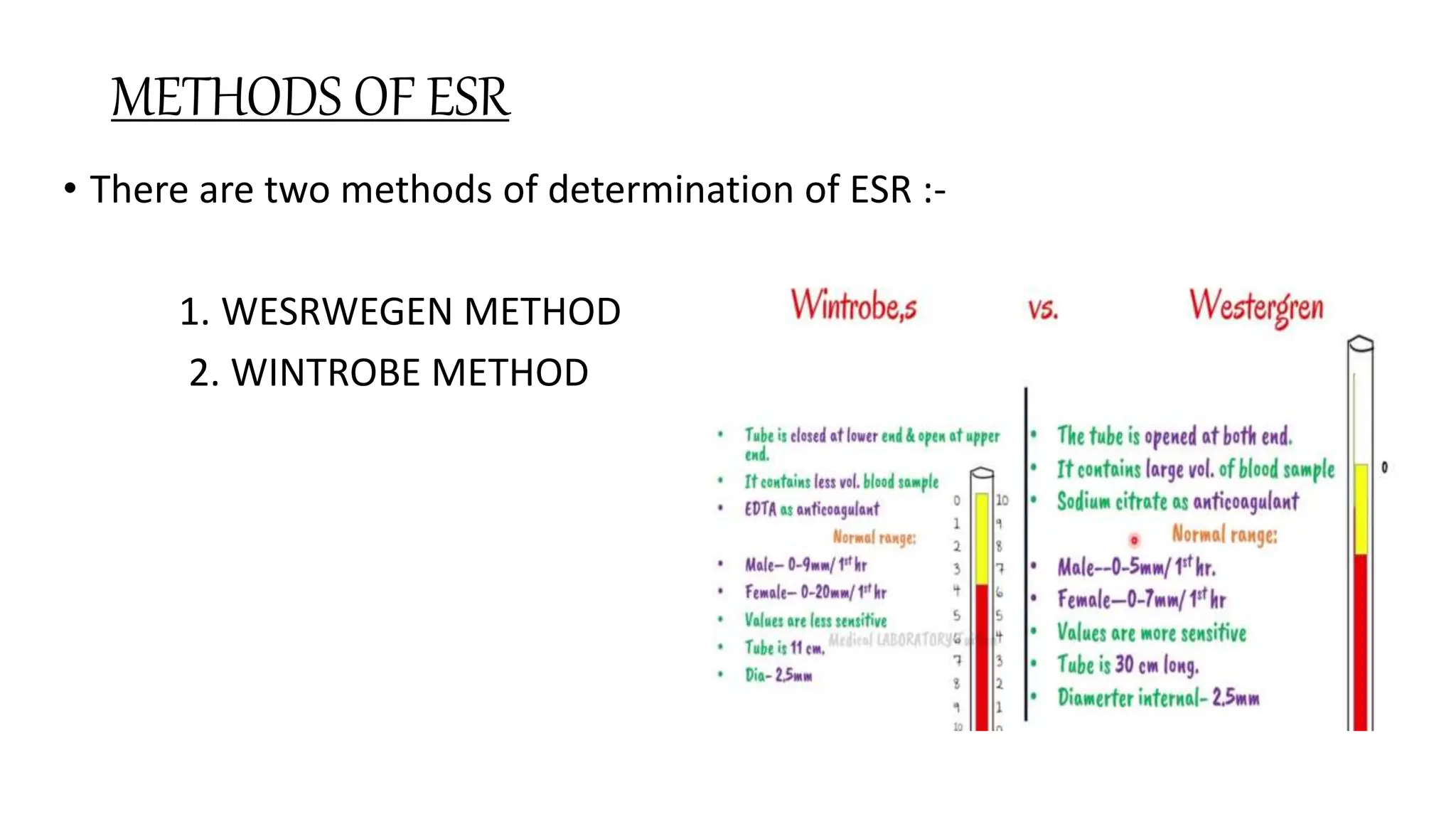 ERYTHROCYTE SEDIMENTATION RATE. HEMATOLOGY | PPTX
