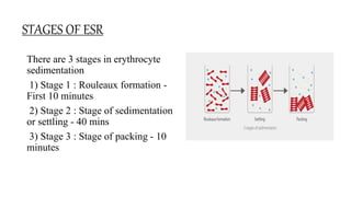 ERYTHROCYTE SEDIMENTATION RATE. HEMATOLOGY | PPT