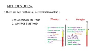ERYTHROCYTE SEDIMENTATION RATE. HEMATOLOGY | PPT