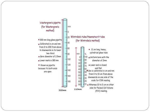 Erythrocyte sedimentation rate (ESR).pptx | Blood Disorders | Diseases ...