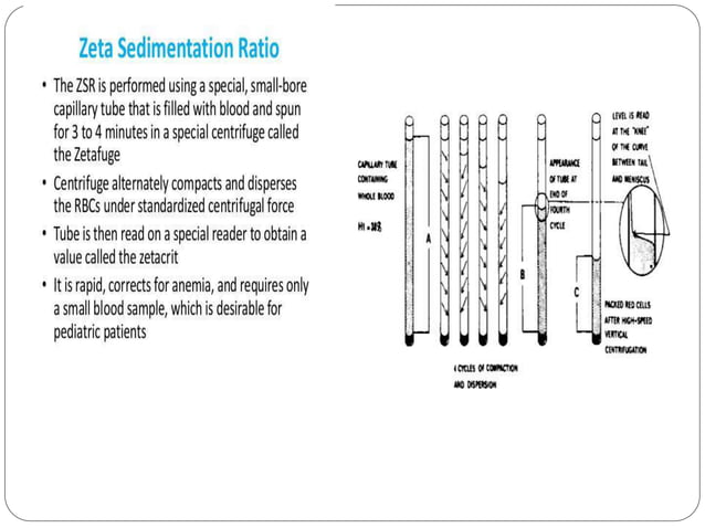 Erythrocyte sedimentation rate (ESR).pptx | Blood Disorders | Diseases ...
