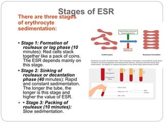 Erythrocyte sedimentation rate (ESR).pptx