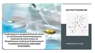 Erythromcine | PPT