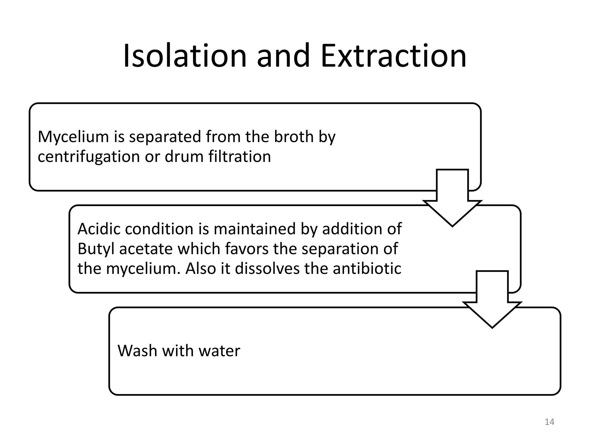 Erythromycin- Structure and Production | PPTX