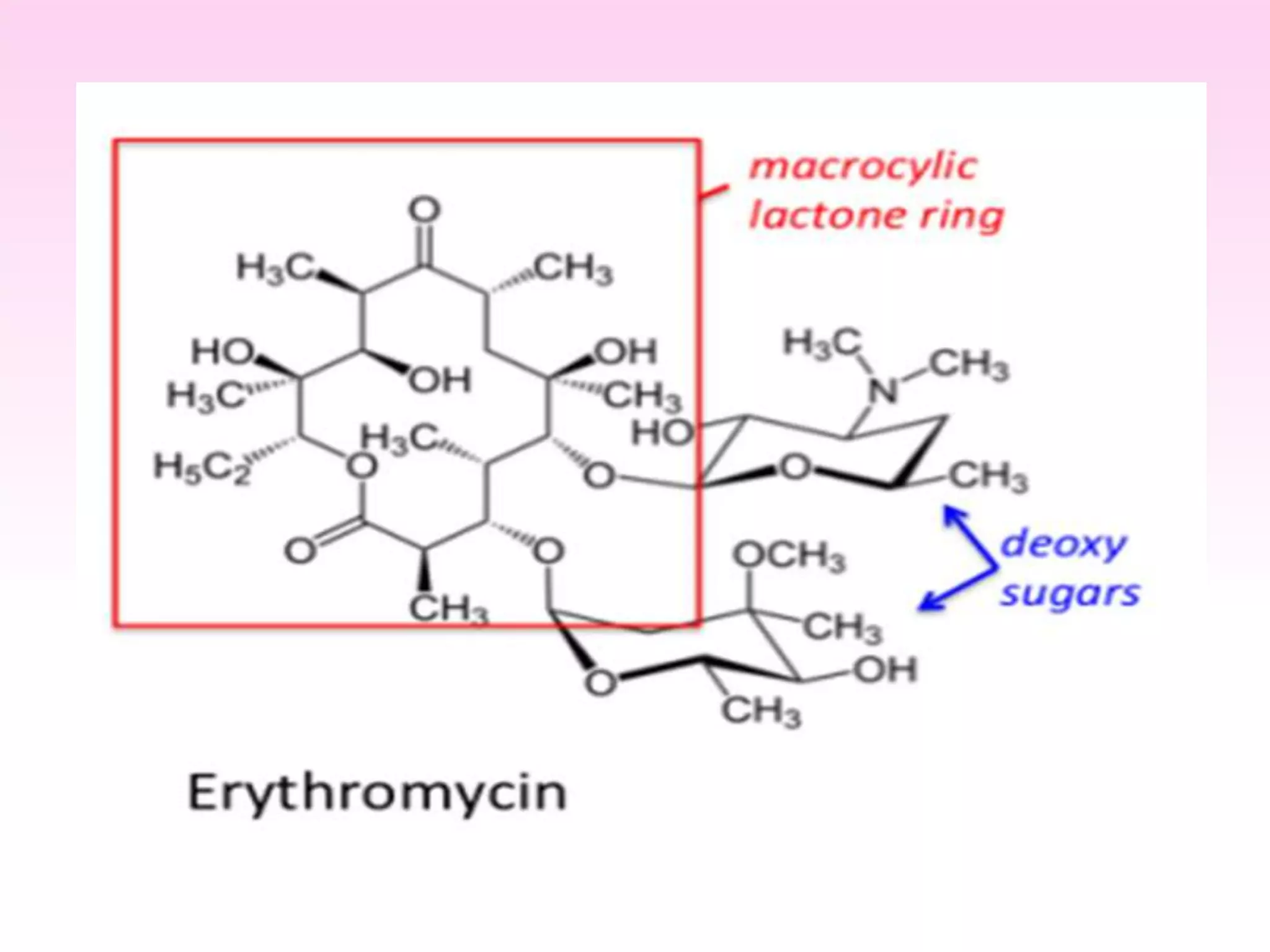 Erythromycin | PPTX