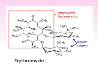 Erythromycin | PPTX