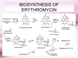 Erythromycin | PPTX
