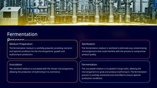 production of Erythromycin in industries | PPTX