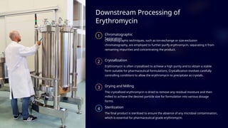 production of Erythromycin in industries | PPTX