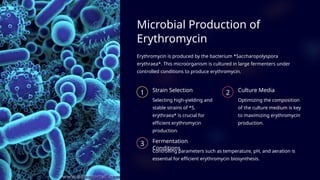 production of Erythromycin in industries | PPTX