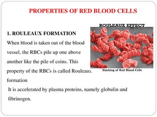 Erythropoiesis blood circulatory system1.pdf