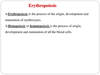 Erythropoiesis blood circulatory system1.pdf