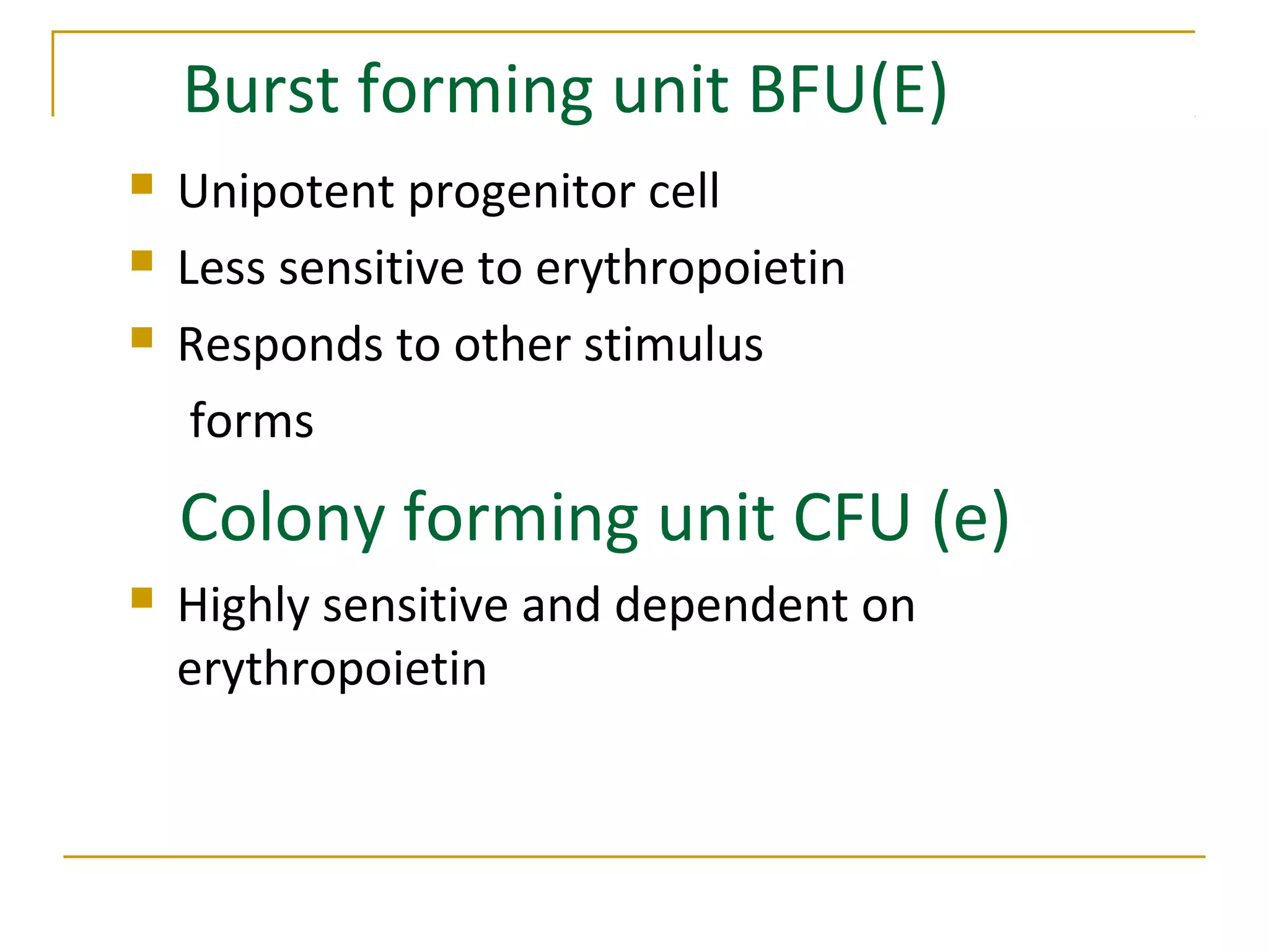 Erythropoiesis | PPT