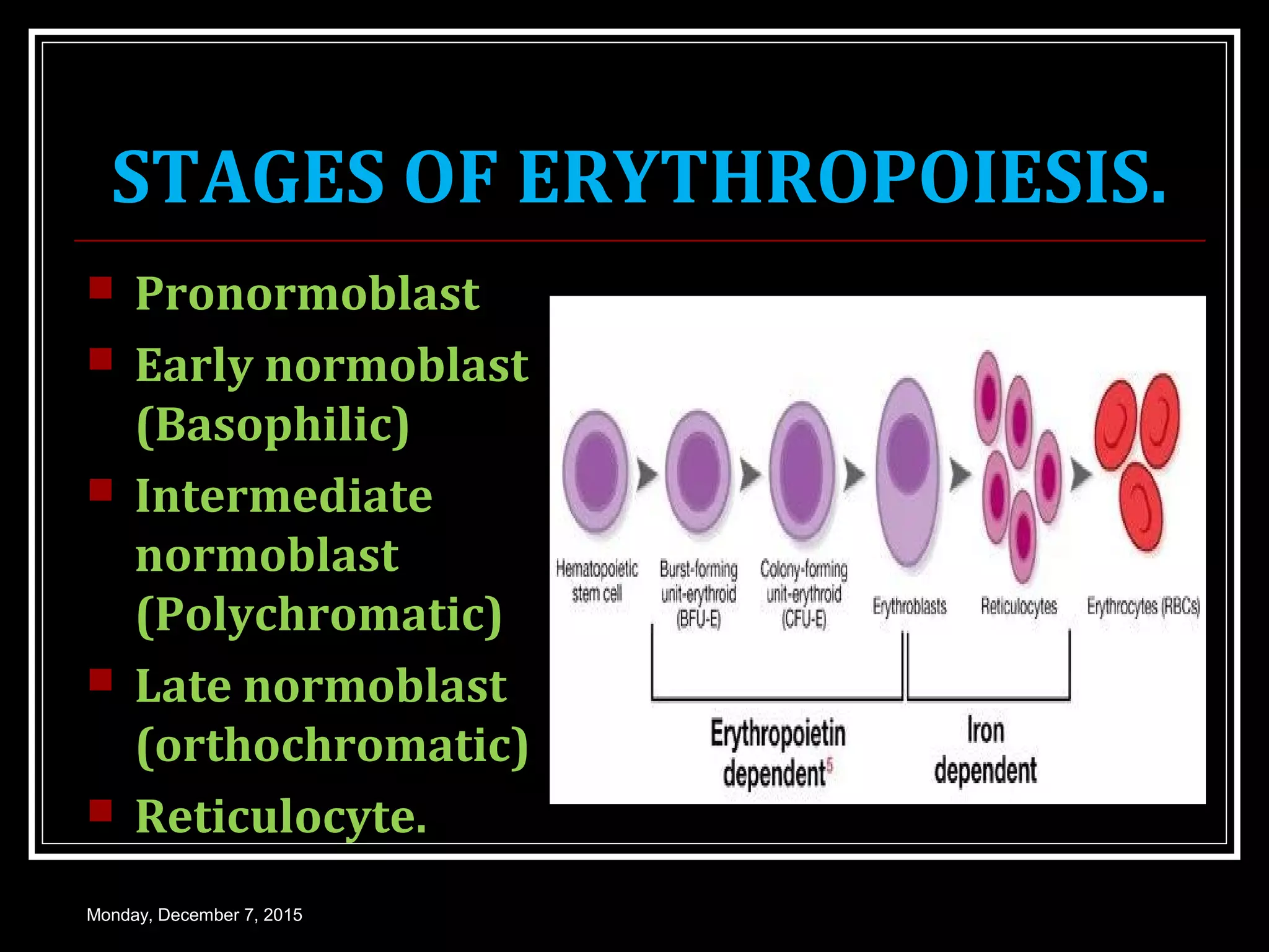 ERYTHROPOIESIS | PPT