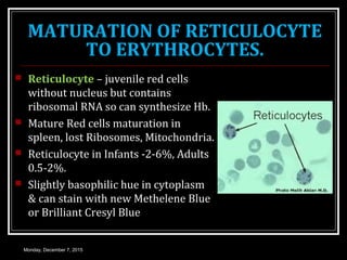 ERYTHROPOIESIS | PPT