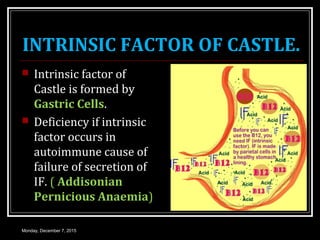 ERYTHROPOIESIS | PPT