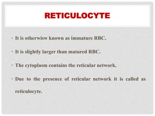 Erythropoiesis | PPTX