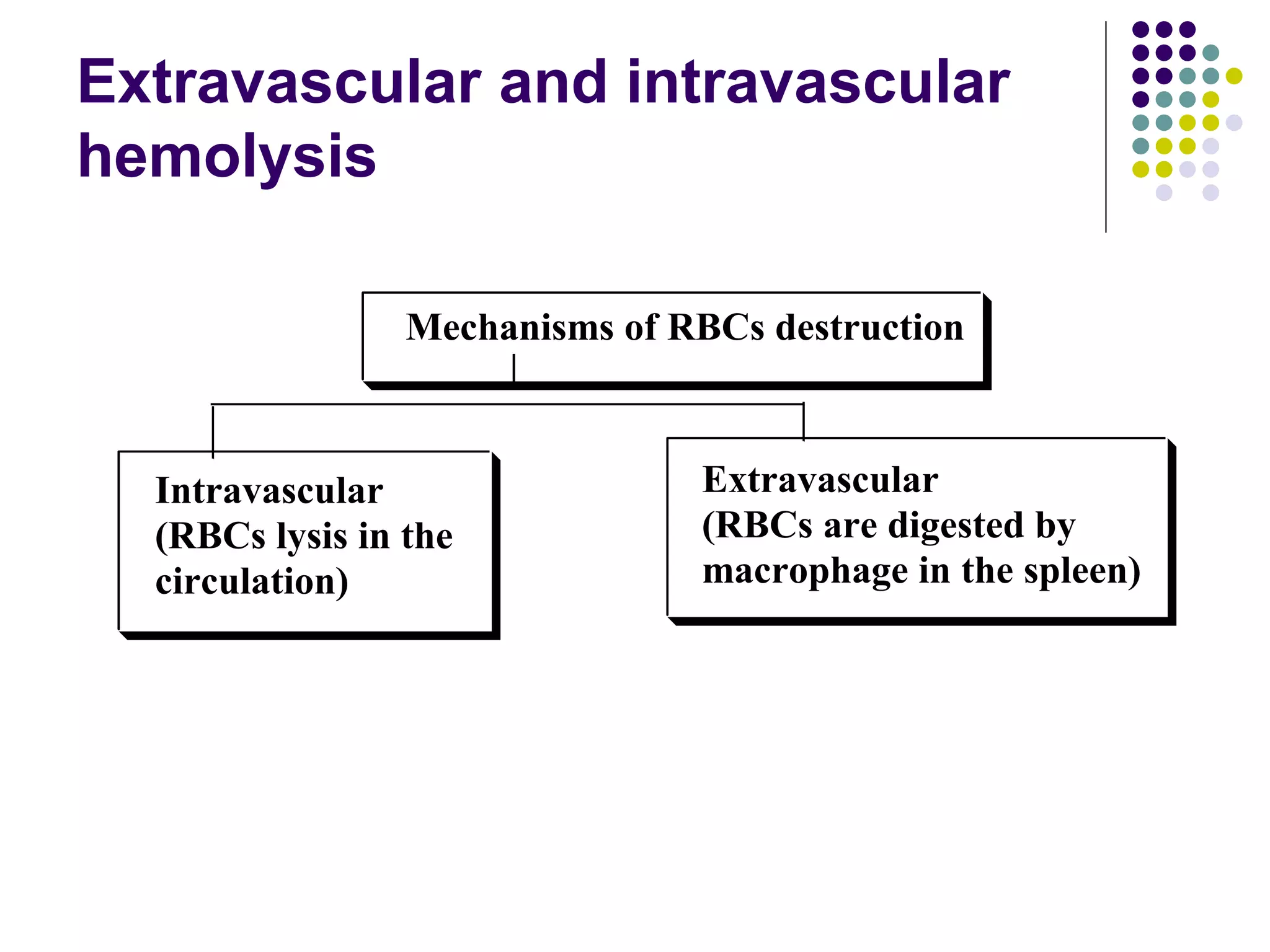 Anaemia, Erythropoiesis | PPT
