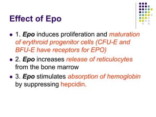 Anaemia, Erythropoiesis | PPT