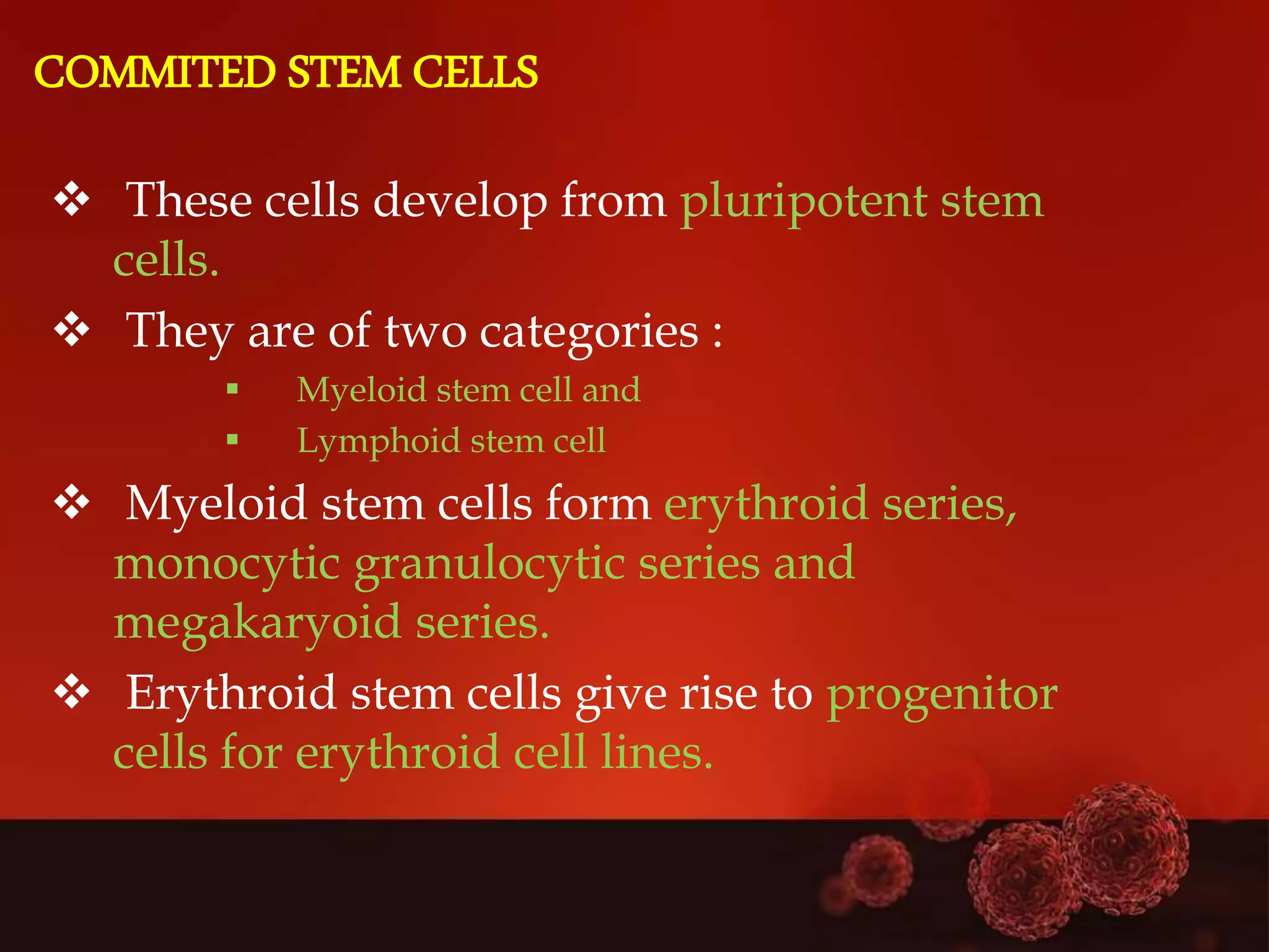 Erythropoiesis | PPTX
