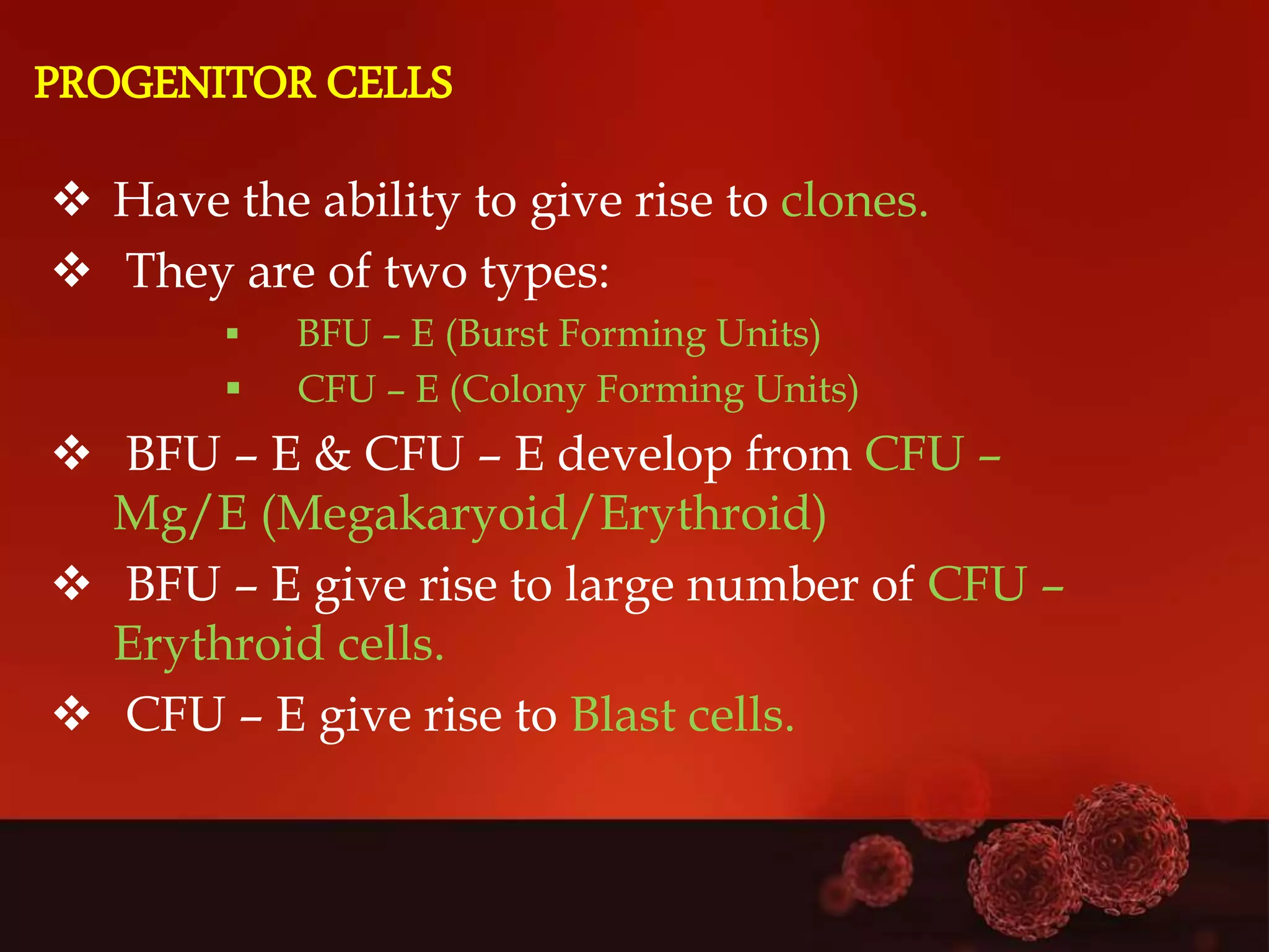 Erythropoiesis | PPTX
