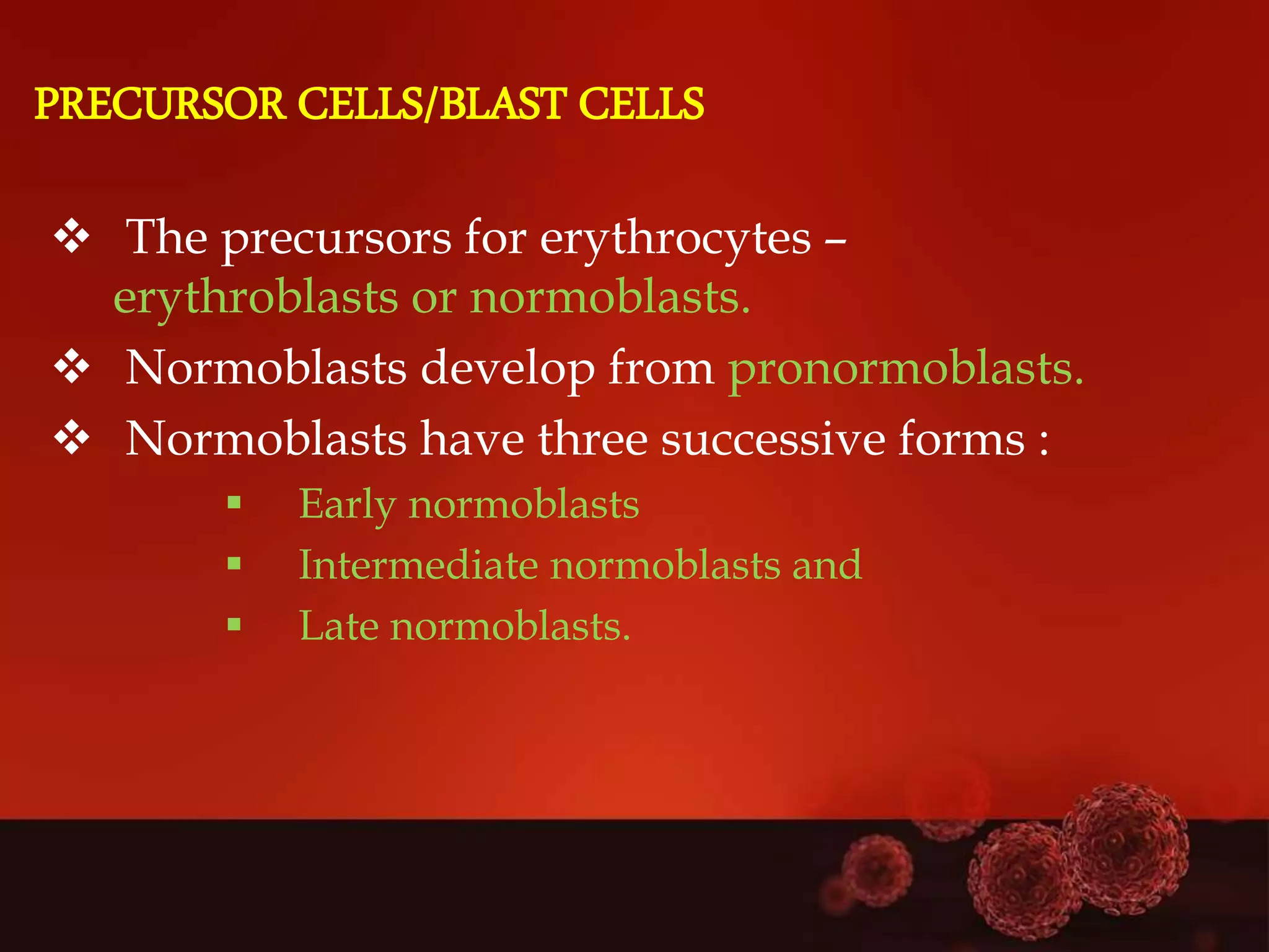 Erythropoiesis | PPTX