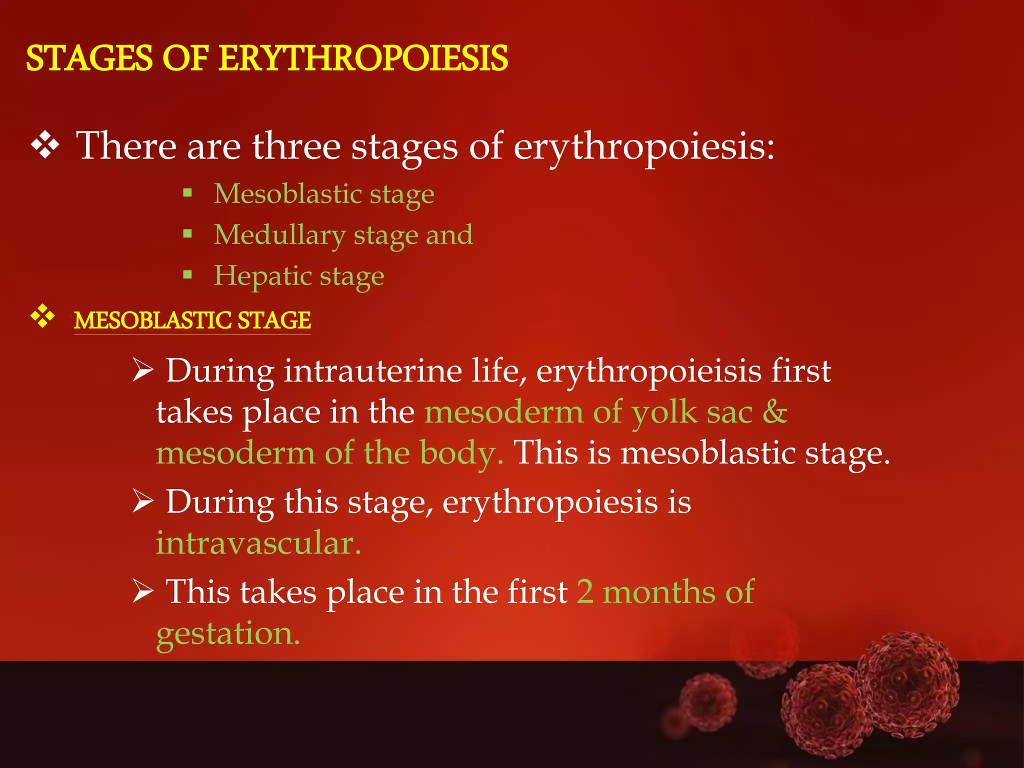 Erythropoiesis | PPTX
