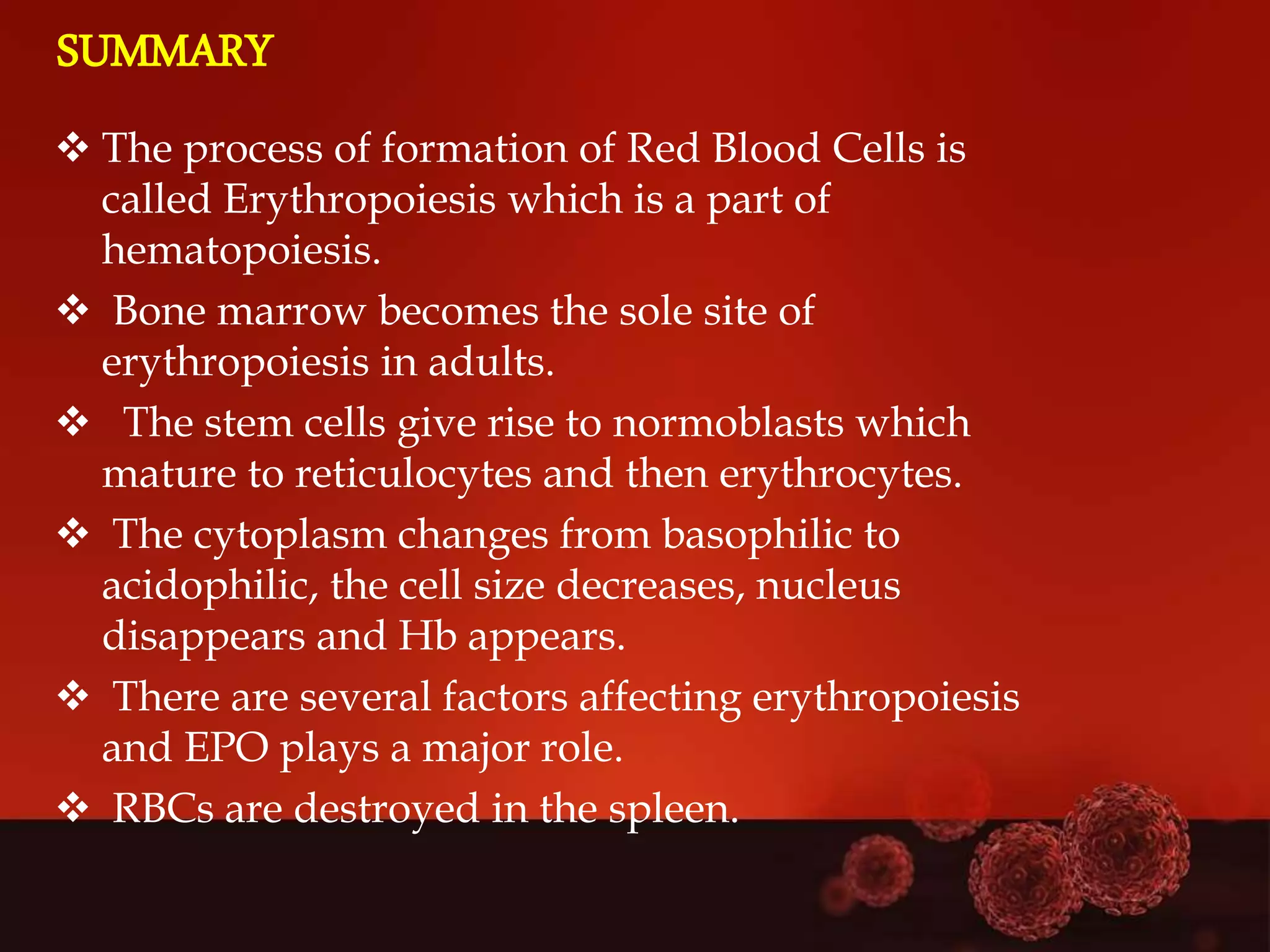 Erythropoiesis | PPTX