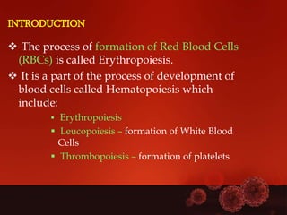 Erythropoiesis | PPTX