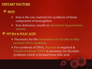 Erythropoiesis | PPTX
