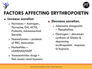 Erythropoiesis - Dr Rohit Bhaskar | PPT