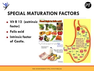 Erythropoiesis - Dr Rohit Bhaskar | PPT