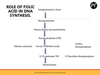 Erythropoiesis - Dr Rohit Bhaskar | PDF