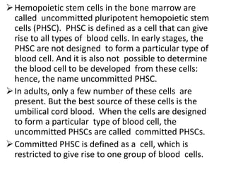 ERYTHROPOIESIS | PPTX