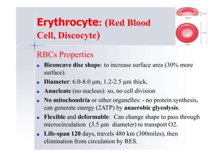 Erythropoiesis.pptx
