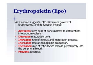 Erythropoiesis.pptx