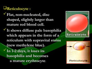 ERYTHROPOIESISfffffffffffffffffffffff.ppt