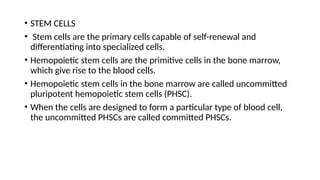 Erythropoiesis. power point presentation | PPTX